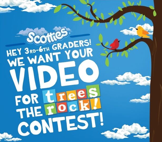 Scotties Trees Rock Video Contest - Real Mom Reviews